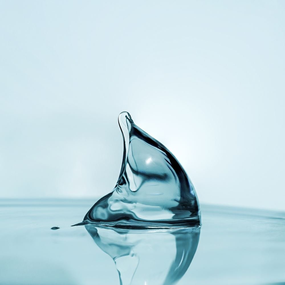 RenewAll Italia - 4Life Internacional Factores de Transferencia